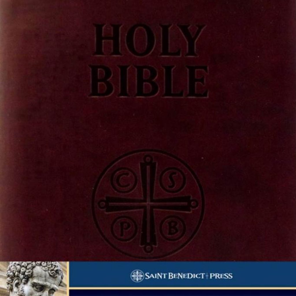 Holy Bible Douay-Rheims Catholic Bible | Olive & Myrrh