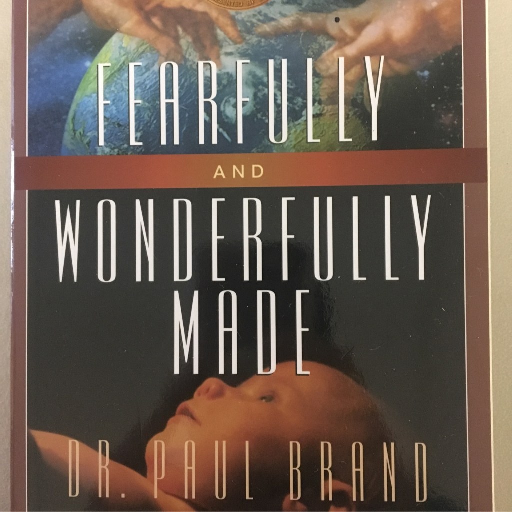 Fearfully And Wonderfully Made | Olive & Myrrh