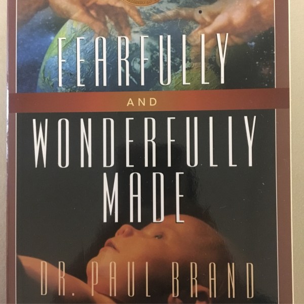 Fearfully And Wonderfully Made | Olive & Myrrh