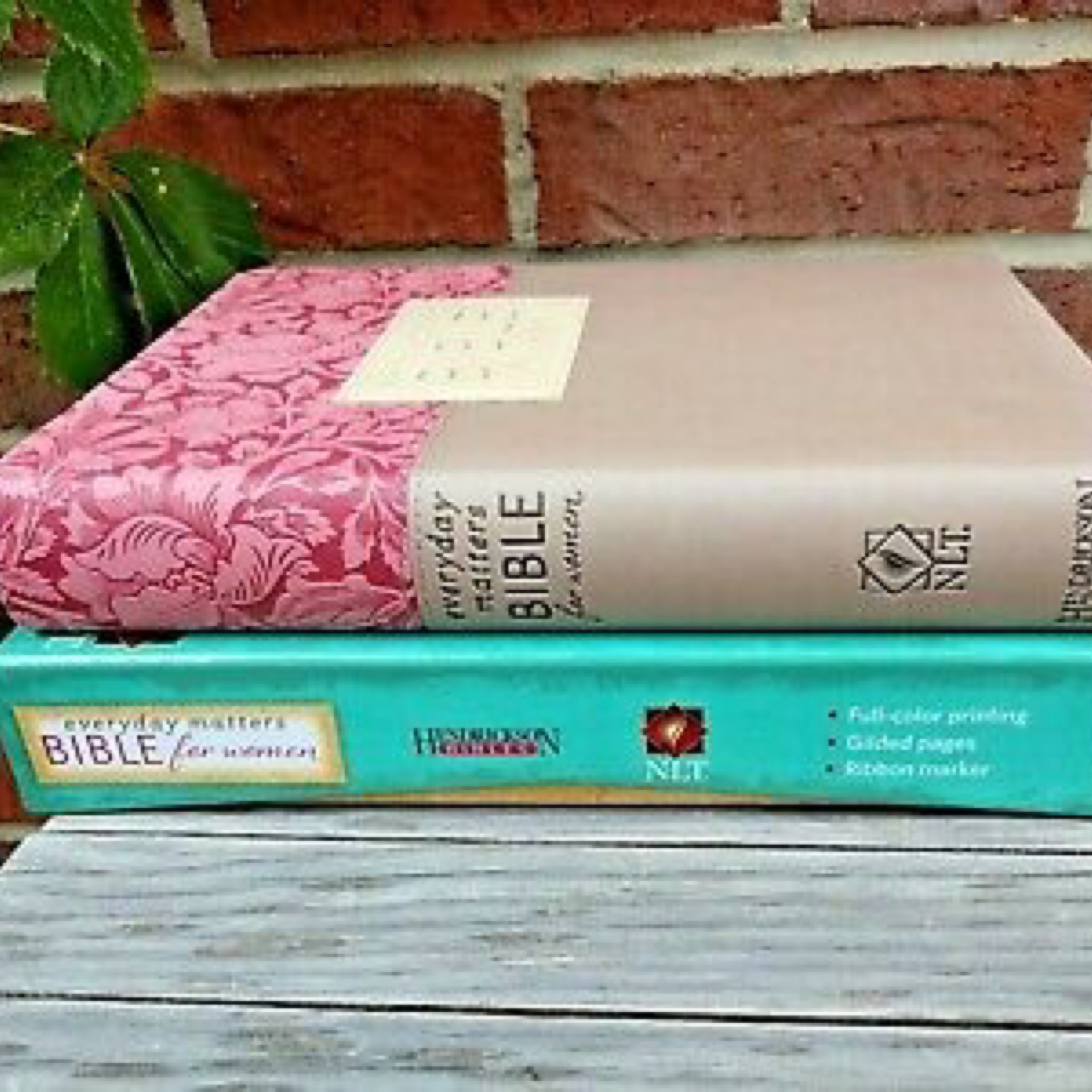 Everyday Matters Bible For Women | Olive & Myrrh