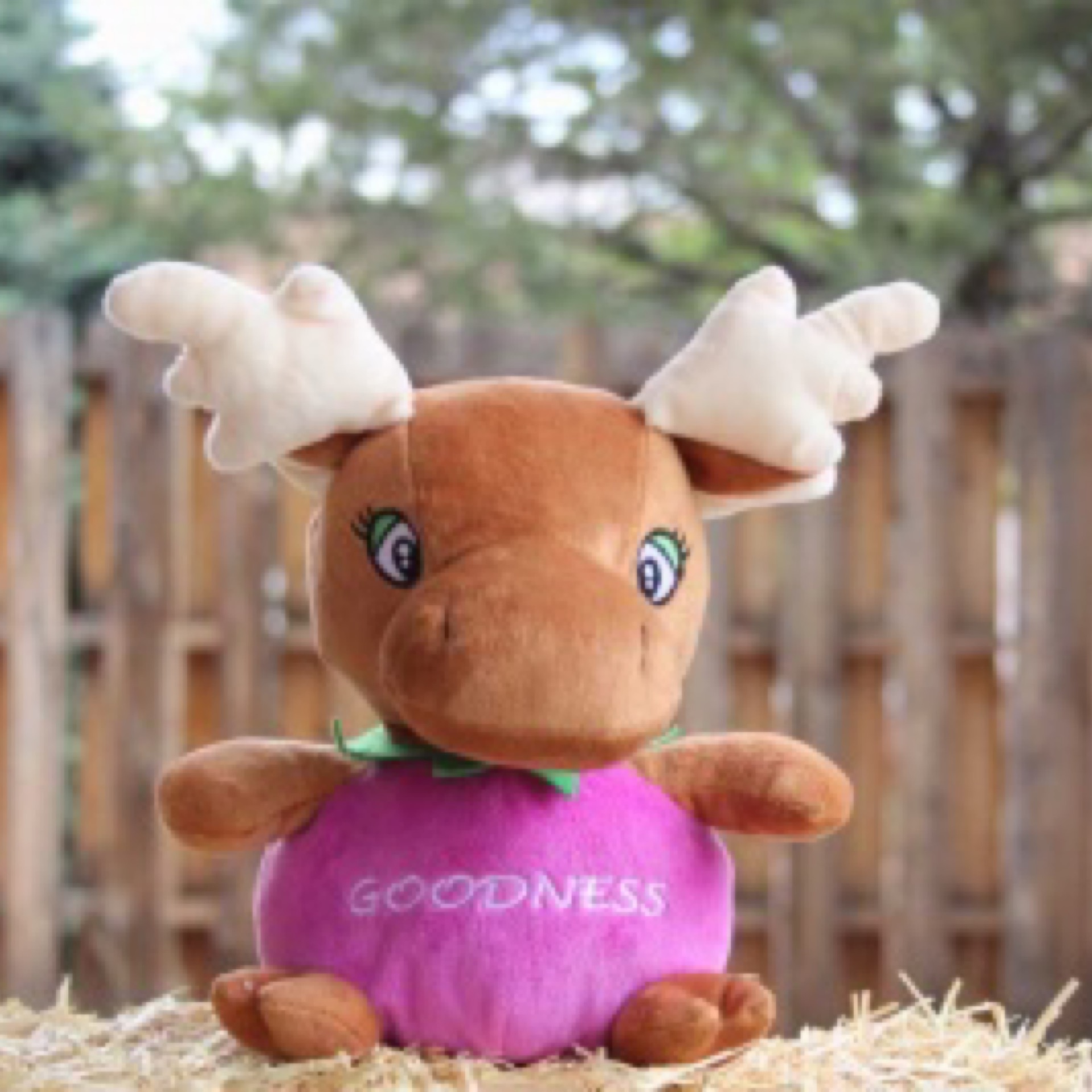 Goodness: Grape Moose Plush Fruits of the Spirit 4 Kids | Olive & Myrrh